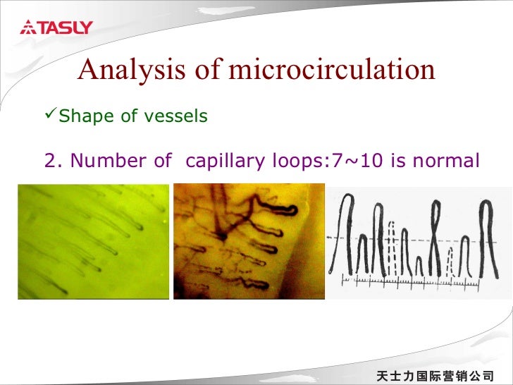 Microcirculation