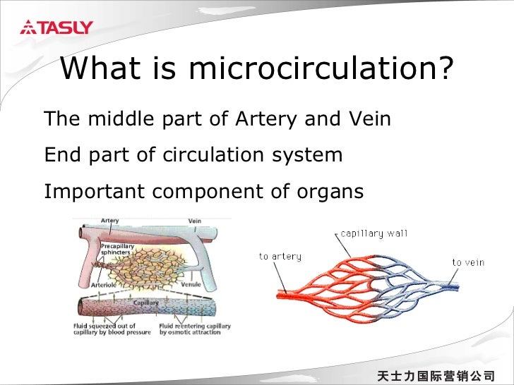Microcirculation
