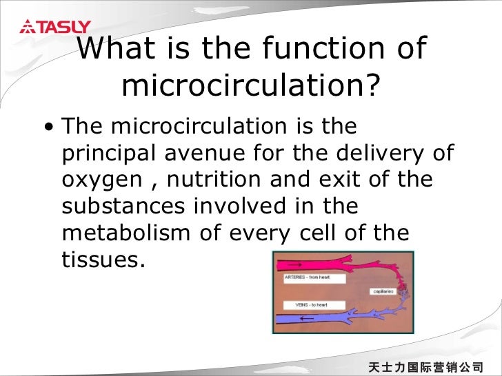 Microcirculation