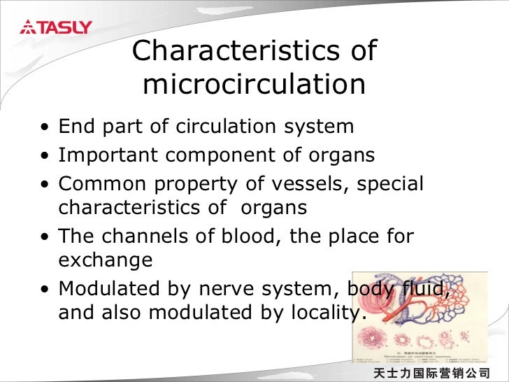 Microcirculation