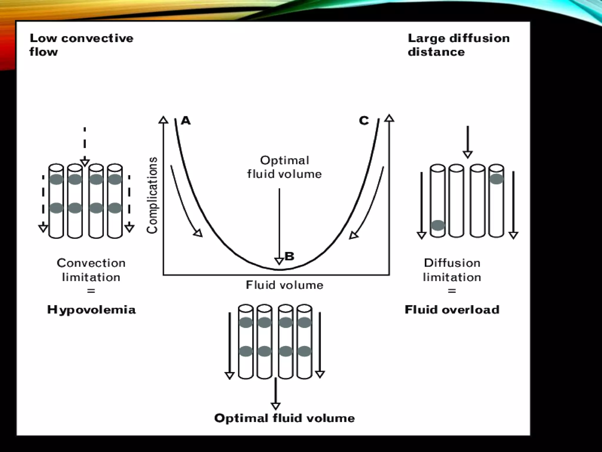 Microcirculation vs macrocirculation | PPTX
