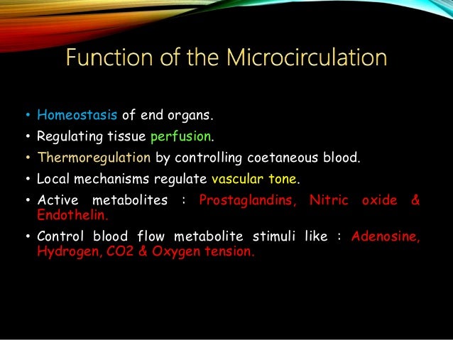 Microcirculation vs macrocirculation
