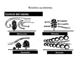 Microclima ,macroclima y sus elementos | PPTX