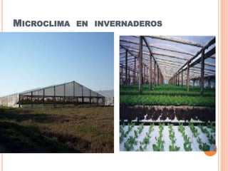 Microclima power | PPTX