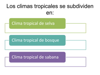 Microclimas de la República Dominicana | PPTX