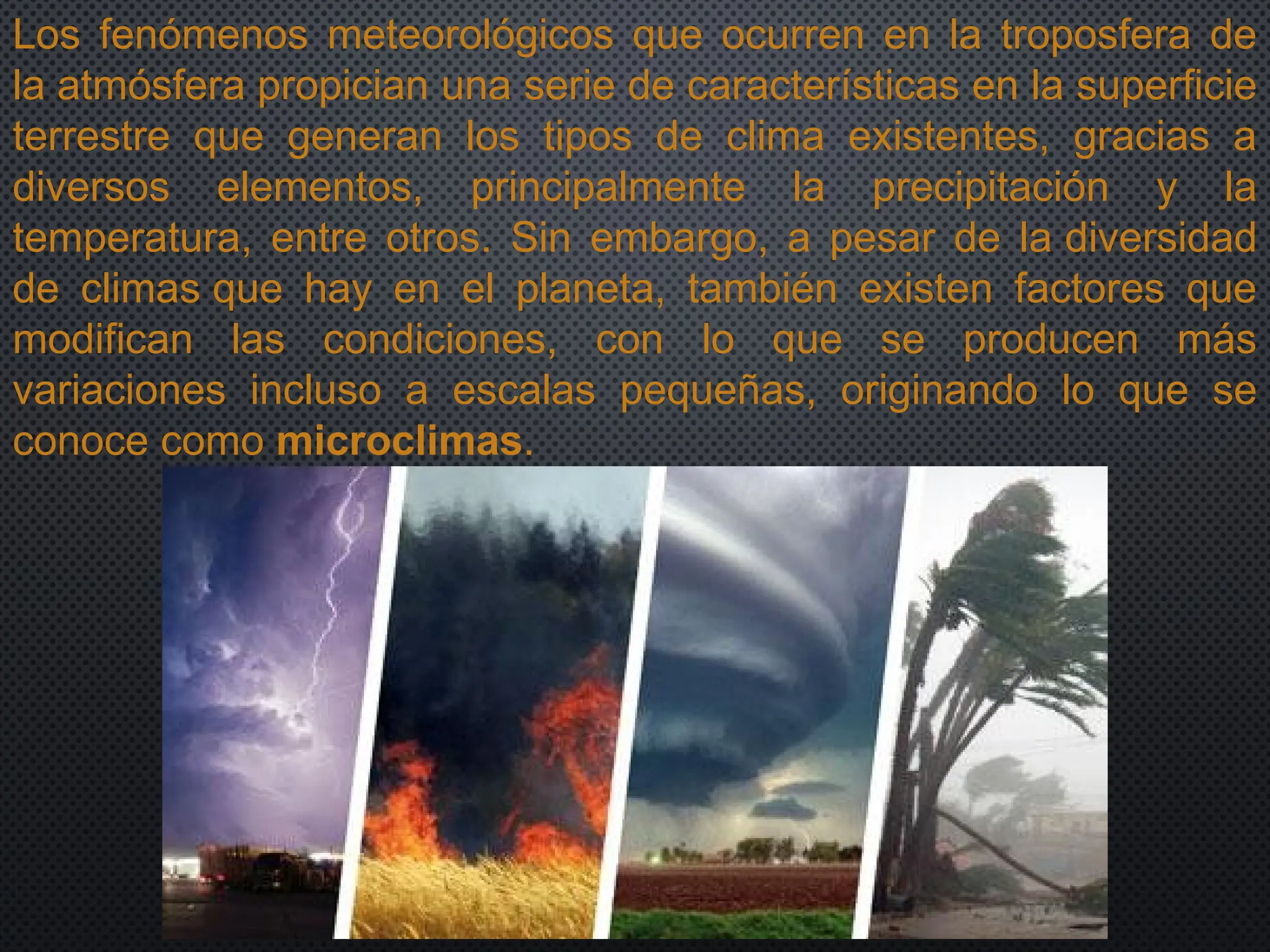 microclimas, que son? características, tipos y ejemplos. | PPTX