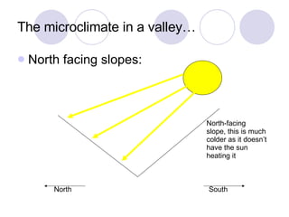 Microclimate | PPT