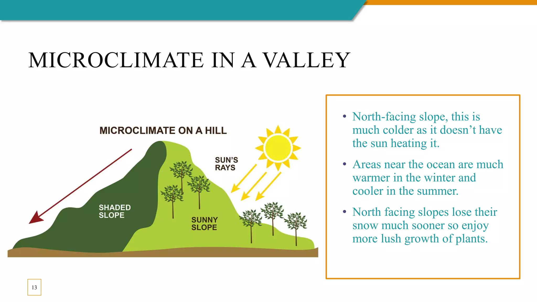 Microclimate | PPTX