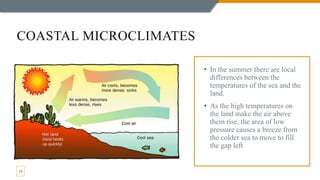 Microclimate | PPTX