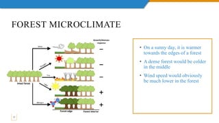 Microclimate | PPTX