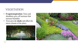 Microclimate | PPTX