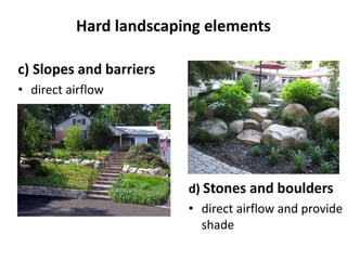 Microclimate & and landscape | PPTX