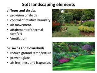 Microclimate & and landscape | PPTX
