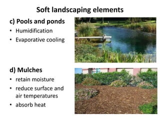 Microclimate & and landscape | PPTX