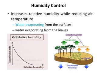 Microclimate & and landscape | PPTX