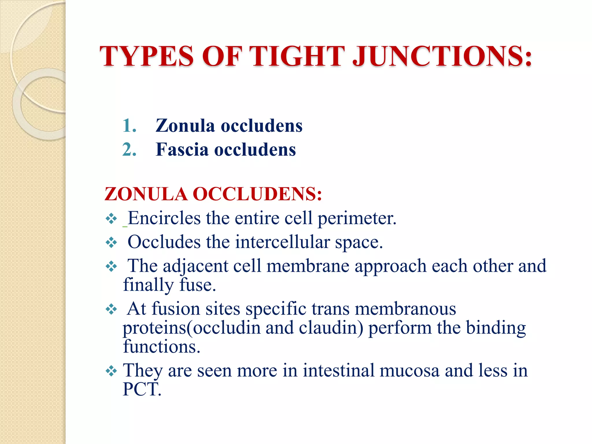 MICROCLIMATE PH AND CELL TIGHT JUNCTION.pptx