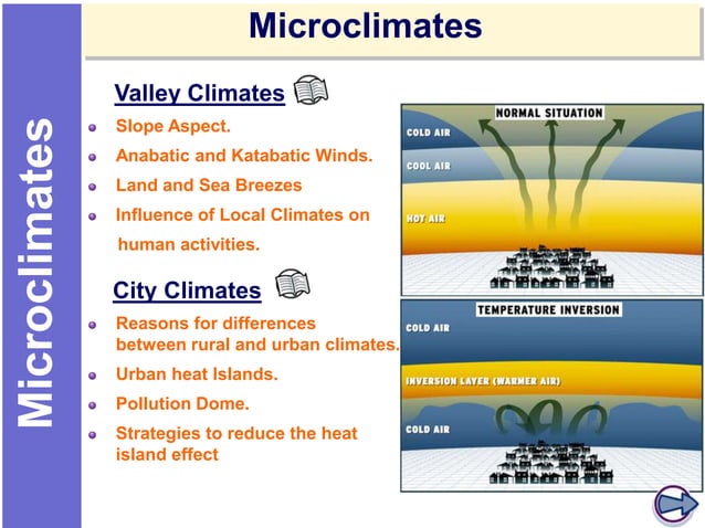 Microclimates | PPTX | Weather | Science