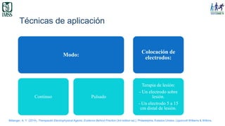 Microcorrientes: electroterapia | PPTX