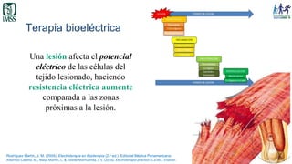 Microcorrientes: electroterapia | PPTX