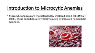 Microcytic Anemias and Its Types.pptx