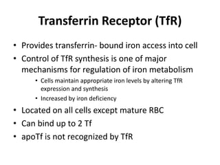 Microcytic hypochromic anaemia | PPTX