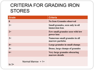 Microcytic hypochromic anemia | PPTX