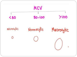 Microcytic hypochromic anemia | PPTX