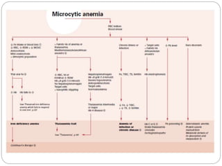Microcytic hypochromic anemia | PPTX