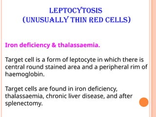 Microcytic Hypochromic Anaemias, Iron Deficiency Anaemia | PPT