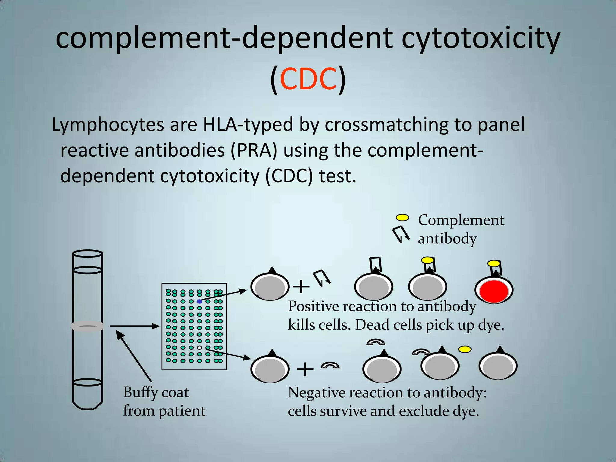 Microcytotoxicity | PPTX