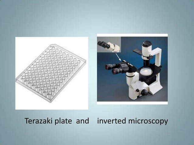 Microcytotoxicity | PPTX | Blood Disorders | Diseases and Conditions