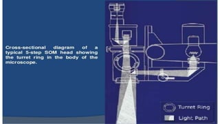 Microdentistry | PPTX