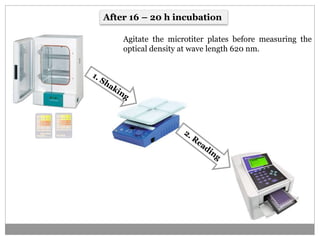 Microdilution assay | PPT