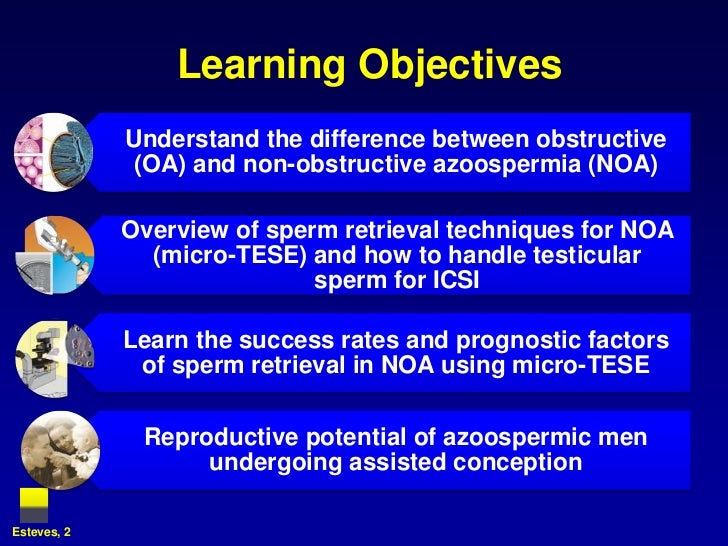 Microdissection Testicular Sperm Extraction