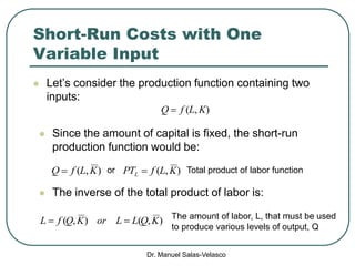 Microeconomics: Cost Functions | PDF