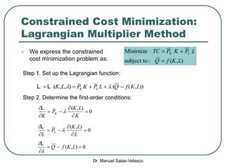 Microeconomics: Cost Functions | PDF