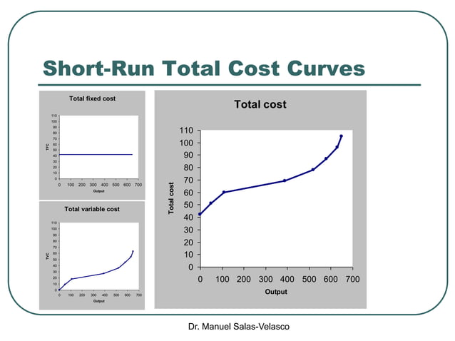 Microeconomics Cost Functions Pdf Business Accounting And Finance Business