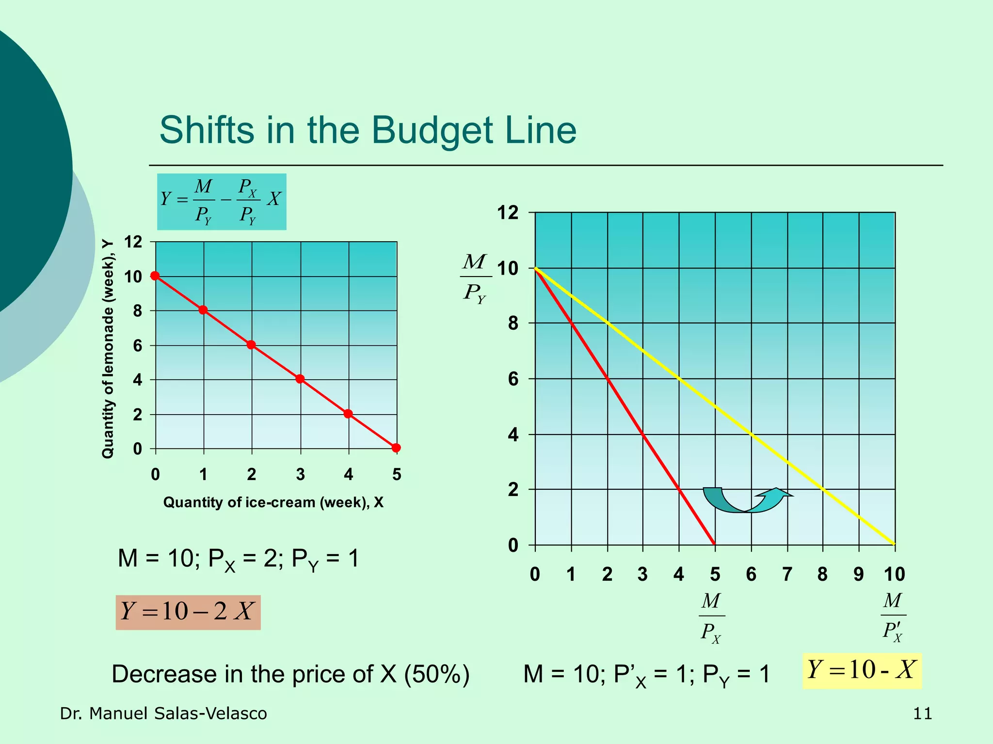 Microeconomics: Income and Substitution Effects | PDF
