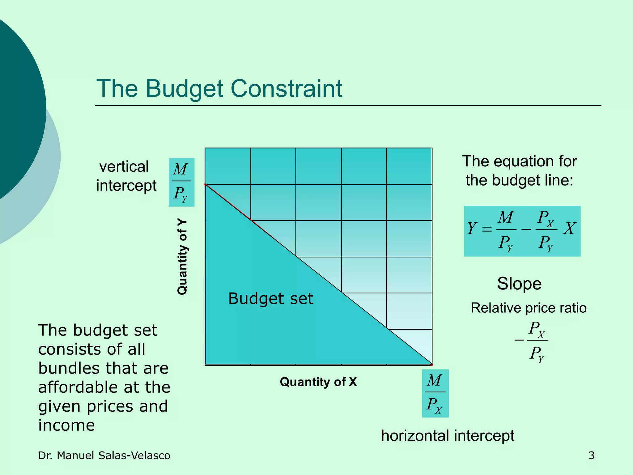 Microeconomics: Income and Substitution Effects | PDF