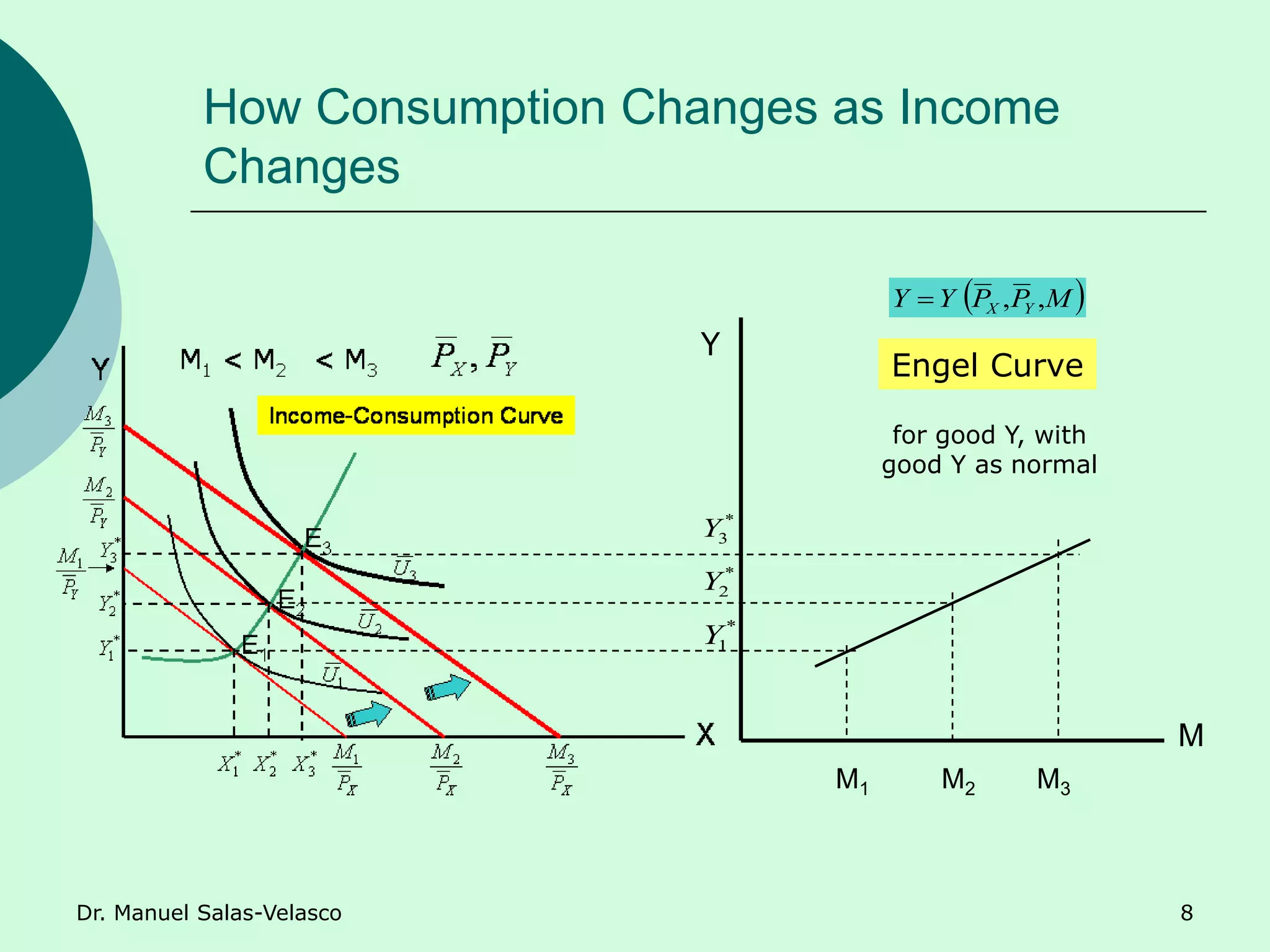 Microeconomics: Income and Substitution Effects | PDF