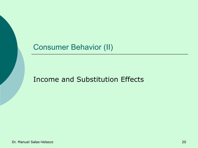 Microeconomics: Income and Substitution Effects | PDF