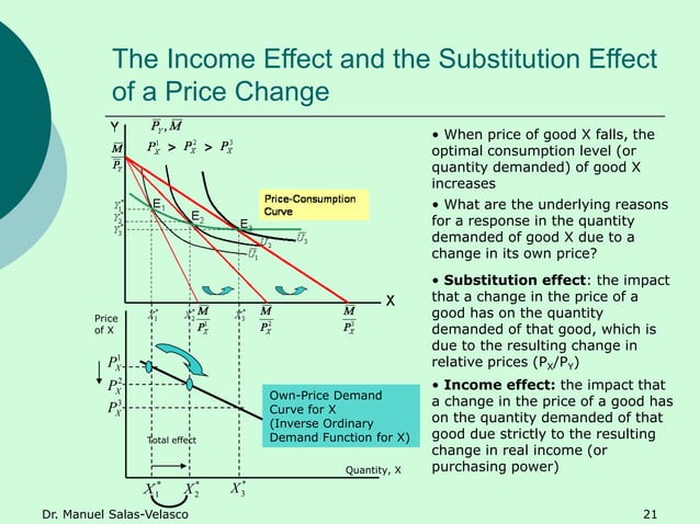 Microeconomics: Income and Substitution Effects | PDF