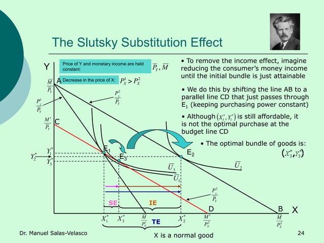 Microeconomics: Income and Substitution Effects | PDF