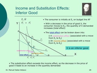 Microeconomics: Income and Substitution Effects | PDF