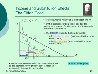 Microeconomics: Income and Substitution Effects | PDF