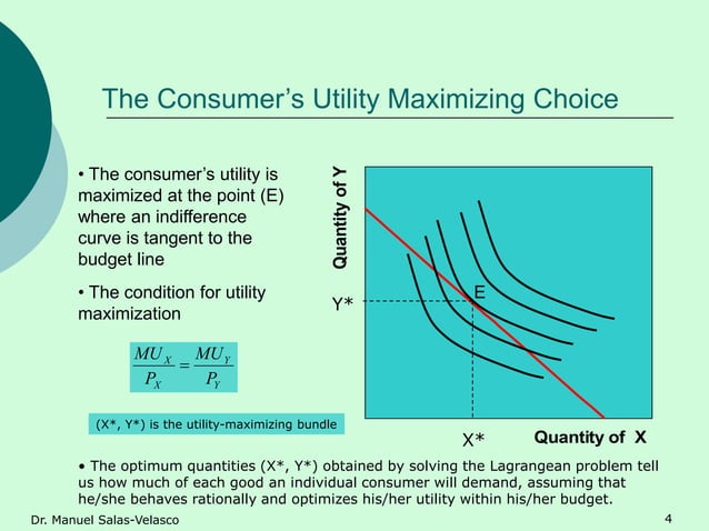 Microeconomics: Income and Substitution Effects | PDF