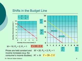 Microeconomics: Income and Substitution Effects | PDF