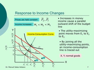 Microeconomics: Income and Substitution Effects | PDF