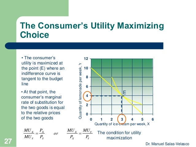 Microeconomics: Utility and Demand