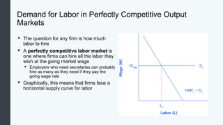 Microeconomics_12_Labor Markets.pptx